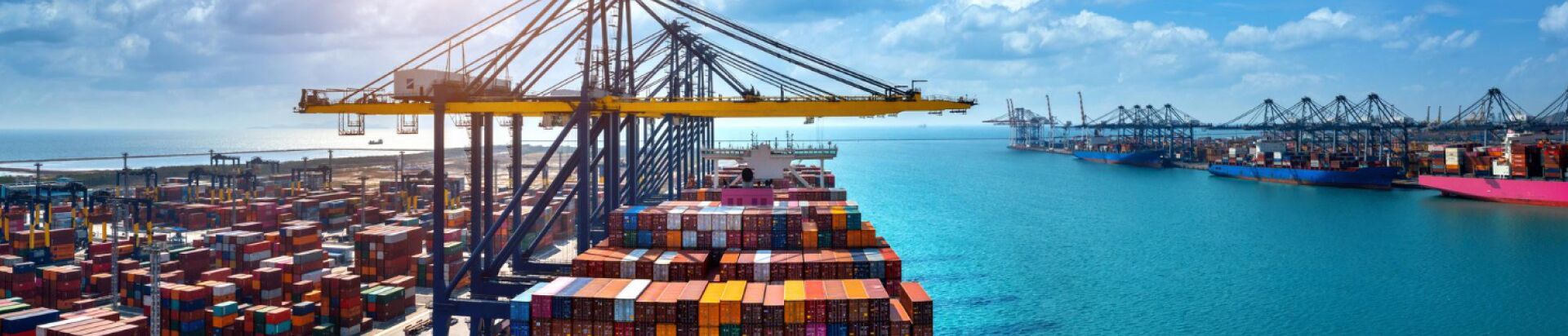 Home Page - Yellowboxcargo